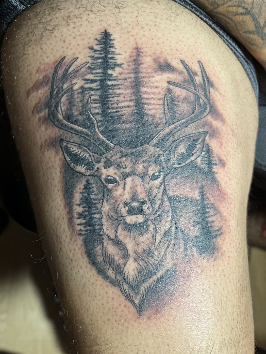 Shaun Murphy – PorkChop's Tattoo Studio